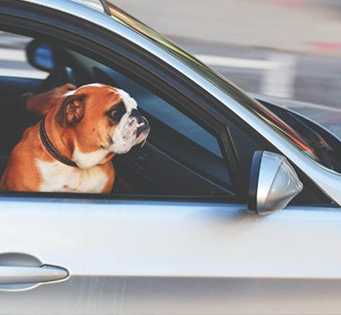 UFCW LOCAL 75 | UFCW 75 Discounts